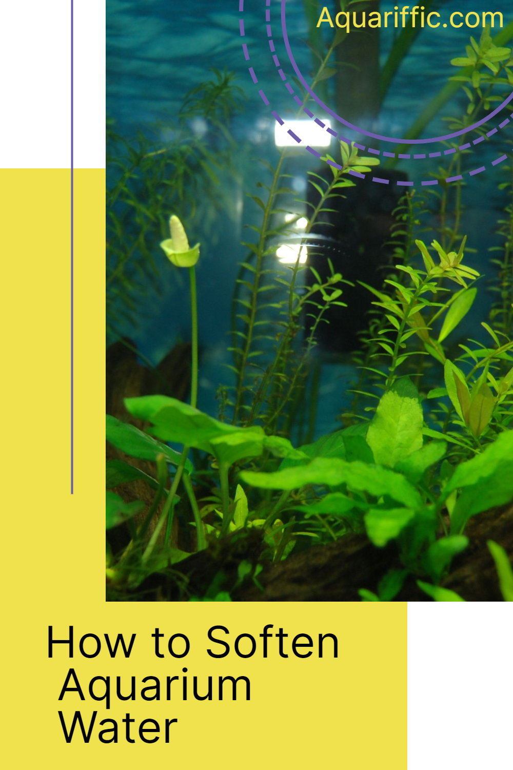 How to Soften Aquarium Water