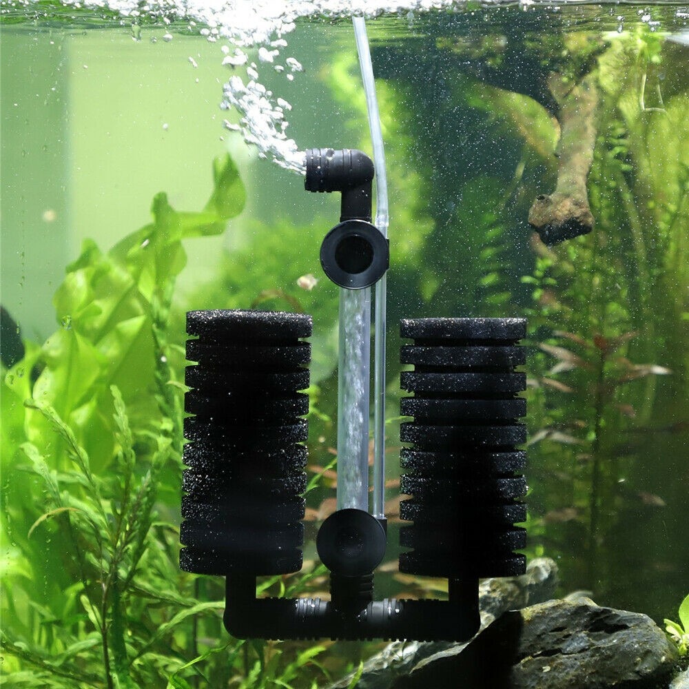 How Does an Aquarium Sponge Filter Work - Aquariffic Adventures